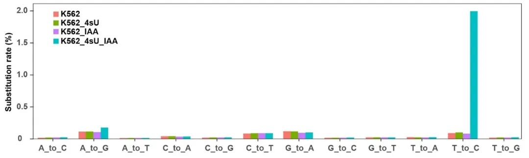 真时动态，尽在掌握！Well-TEMP-seq单细胞动态转录组测序 - 单细胞测序网