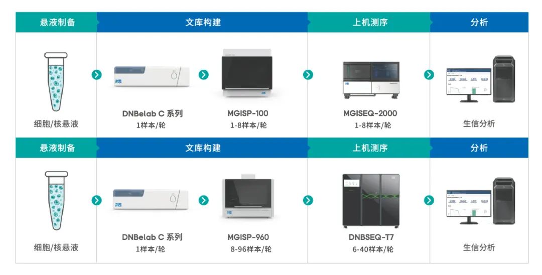华大智造单细胞利器DNBelab C4全新升级 - 单细胞测序网