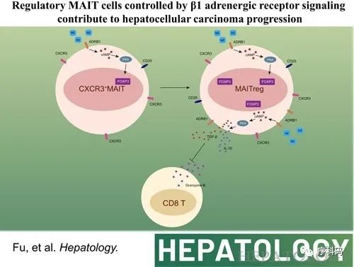 共1071篇！7月单细胞文献合集 - 单细胞测序网