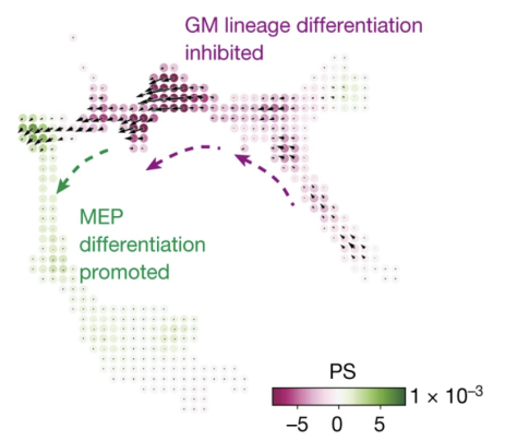 计算扰动细胞命运预测神器CellOracle - 单细胞测序网
