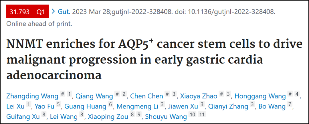 IF=31.793 | scRNA-seq联合CUT&Tag揭示NNMT富集AQP5+肿瘤干细胞驱动早期胃贲门腺癌恶性进展 - 单细胞测序网
