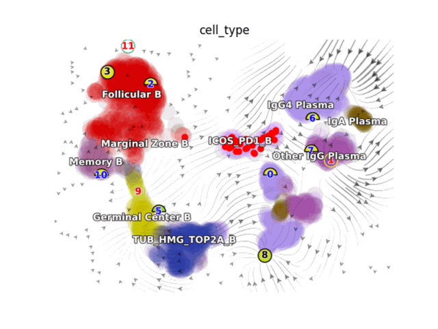 IF=27.4| 魏蔚、蔡志刚团队揭示IgG4相关性疾病中颌下腺和血液中的细胞和分子改变 - 单细胞测序网