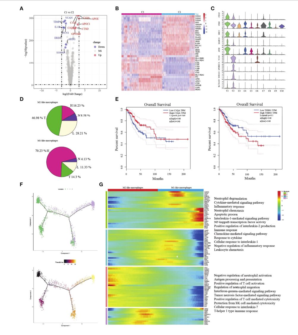 整点好发的！7+单细胞测序数据集发表宫颈癌高分文章 - 单细胞测序网