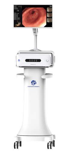 早筛大会| 楚精灵引领消化内镜AI创新 累计协助发现早癌及癌前病变5886例 - 早筛网