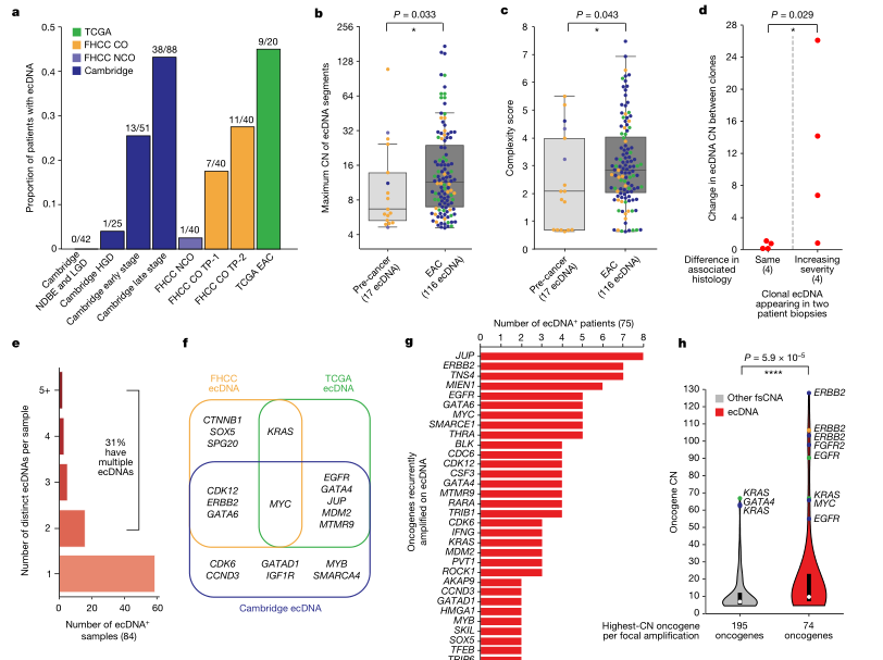 《Nature》重磅！染色体外DNA可加速癌症发生发展，或可用于早筛早诊 - 早筛网