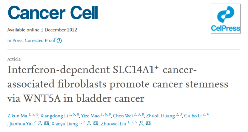 Cancer Cell丨 SLC14A1+肿瘤相关成纤维细胞促进膀胱癌的肿瘤干性和化疗抵抗 - 单细胞测序网