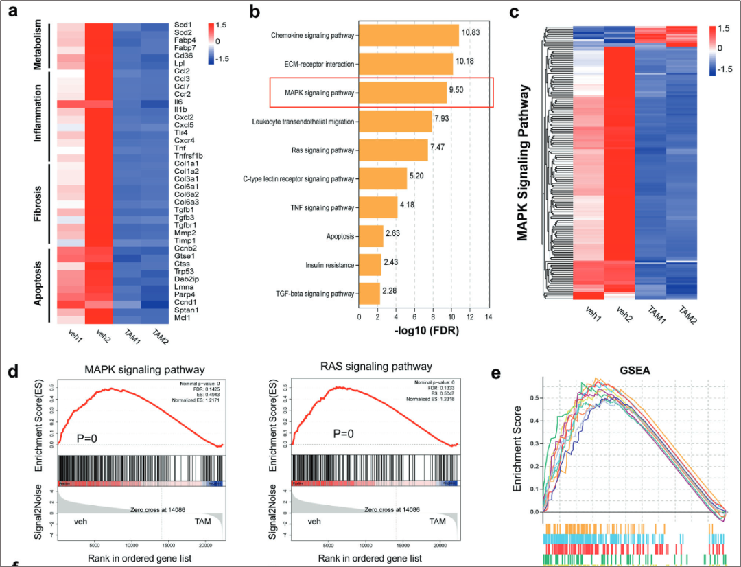 高分热点文章 | NAFLD/NASH进展关键机制和新型治疗靶点的研究 - 单细胞测序网