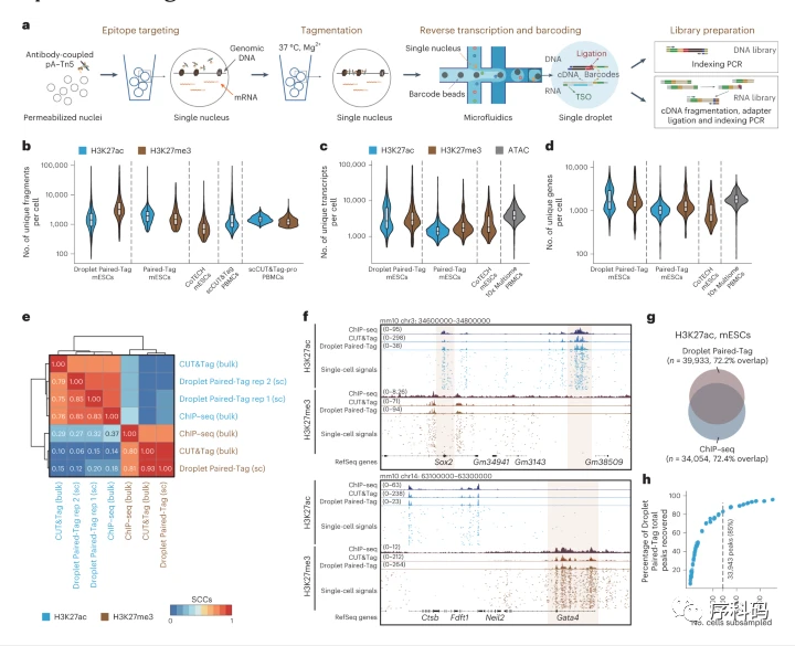 共1201篇 | 8月单细胞文献盘点 - 单细胞测序网
